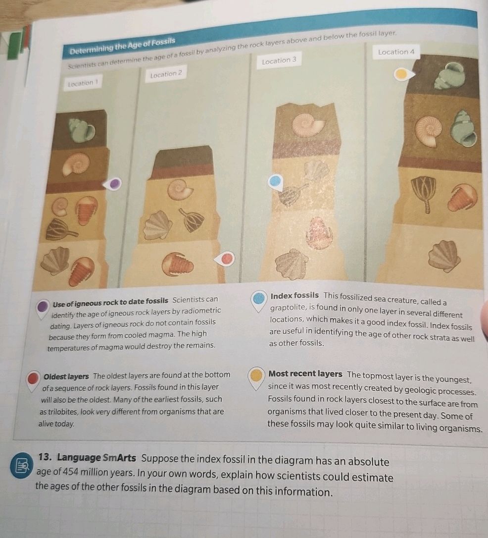 Suppose the index fossil in the diagram has | StudyX