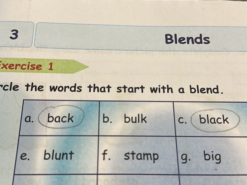 Circle the words that start with a blend. | StudyX