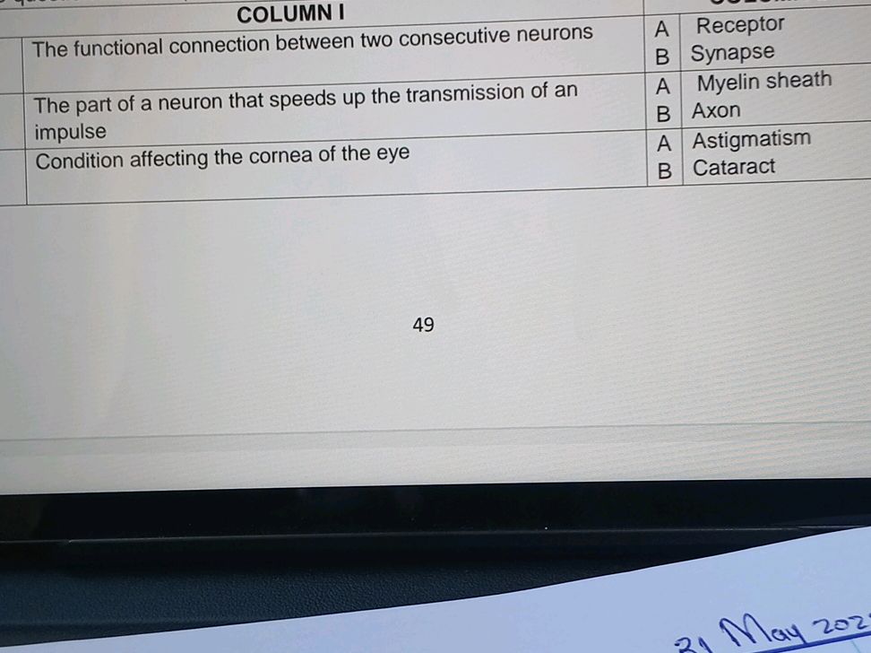 COLUMN I The functional connection between | StudyX