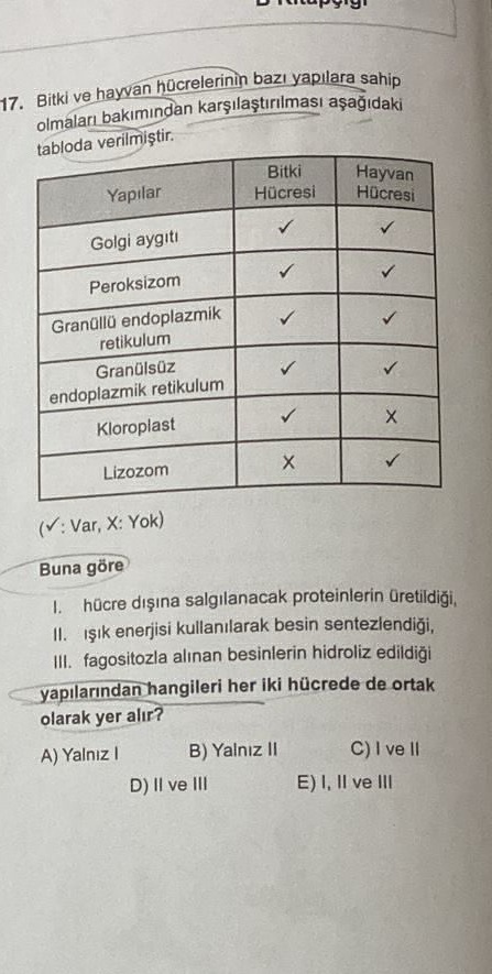 17. Bitki ve hayvan hücrelerinin bazı | StudyX