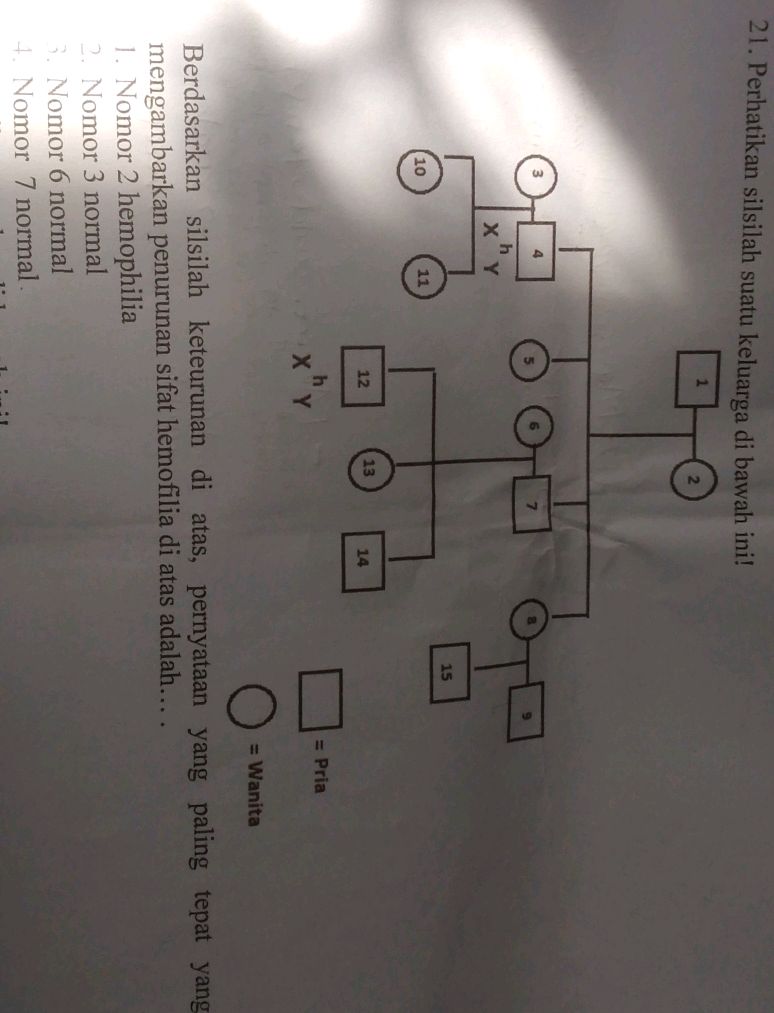 21. Perhatikan silsilah suatu keluarga di | StudyX
