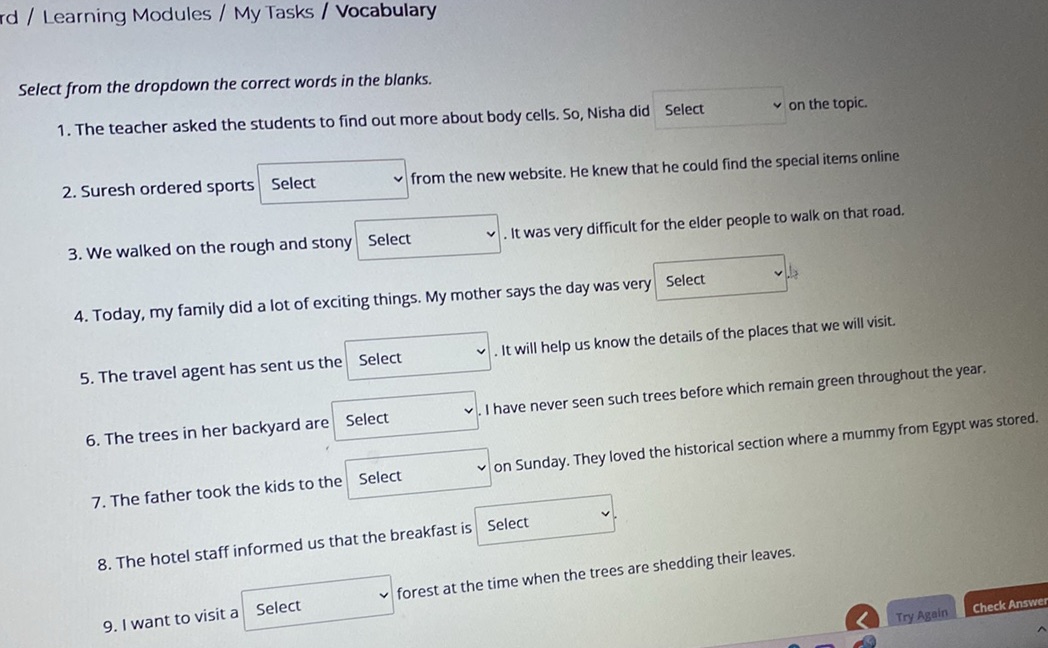 Select from the dropdown the correct words | StudyX