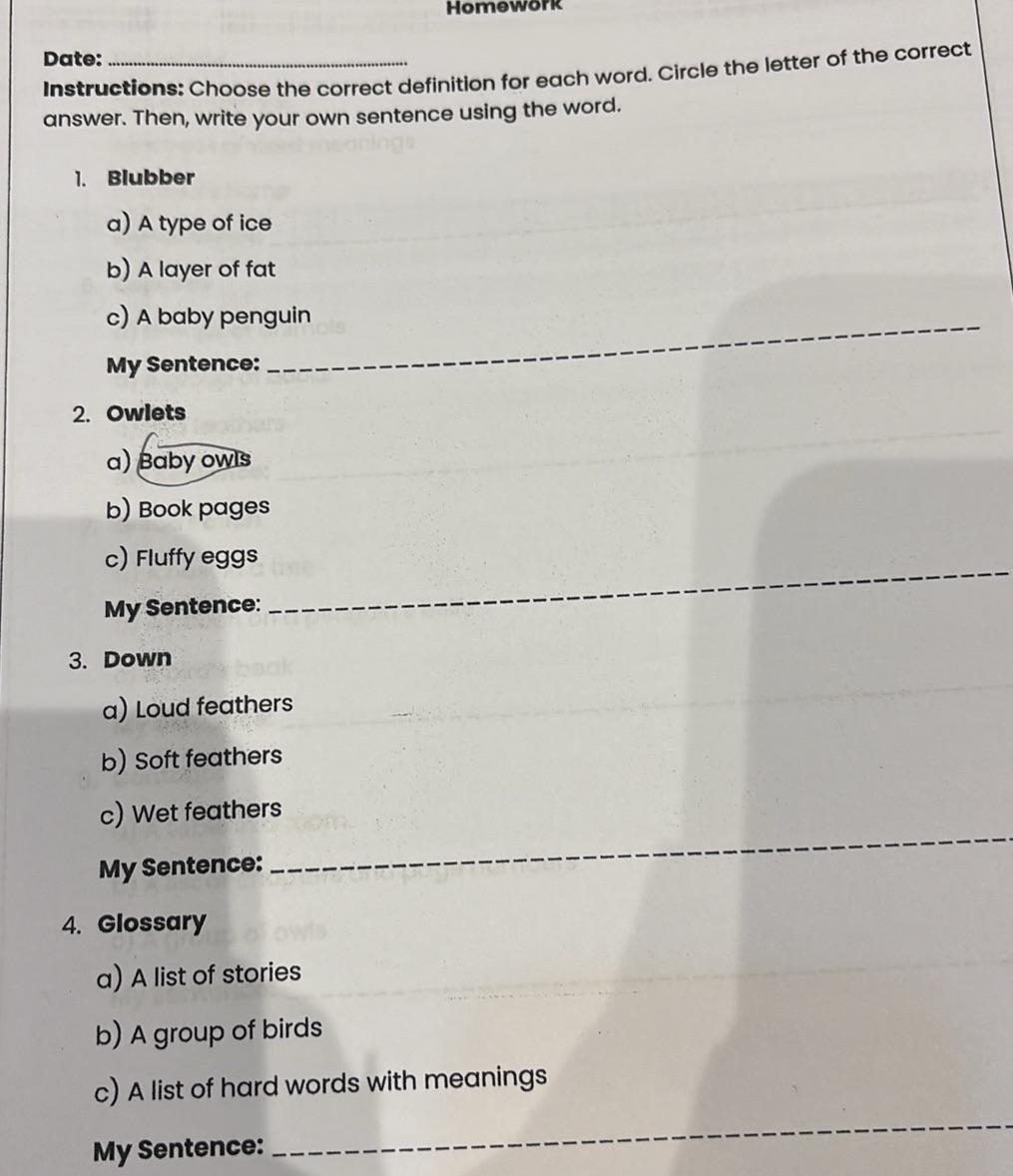 Instructions: Choose the correct definition | StudyX