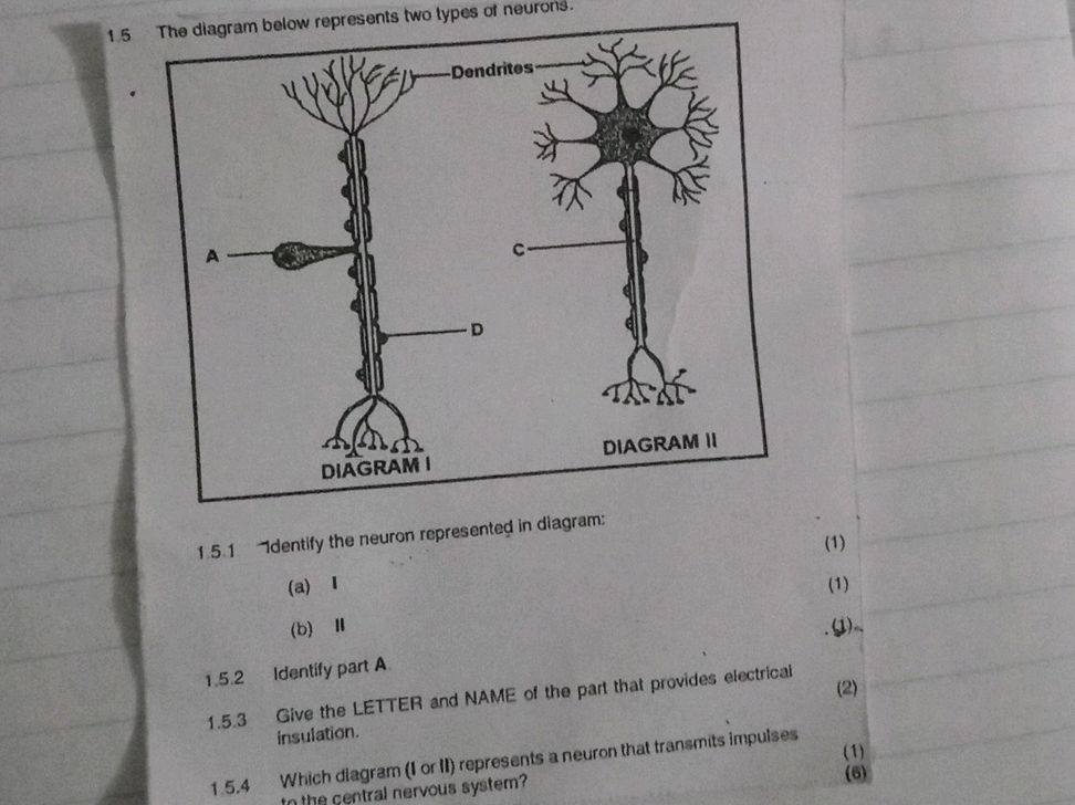 1. 5 The diagram below represents two types | StudyX