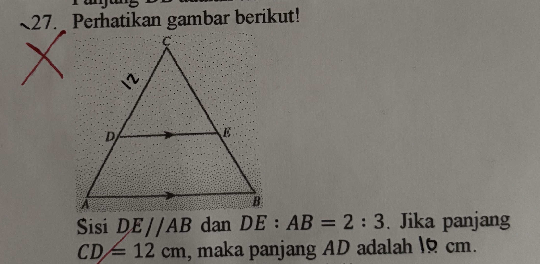 Perhatikan gambar berikut! Sisi DE // AB | StudyX