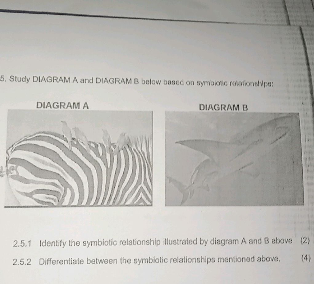 Study DIAGRAM A and DIAGRAM B below based on | StudyX