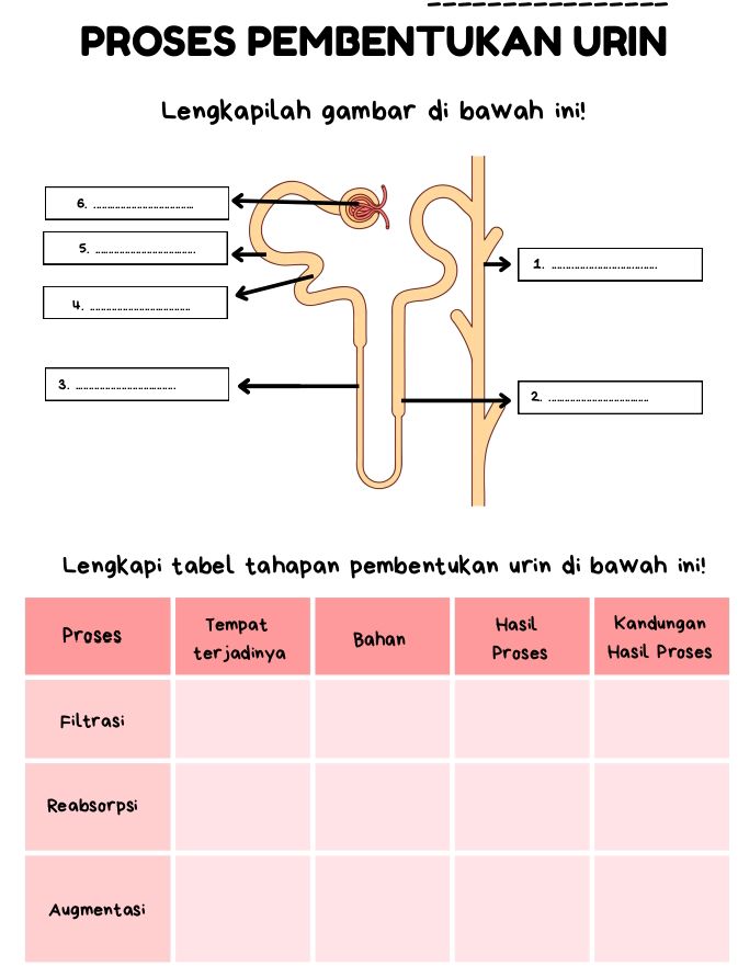 Lengkapilah gambar di bawah ini! 1. | StudyX