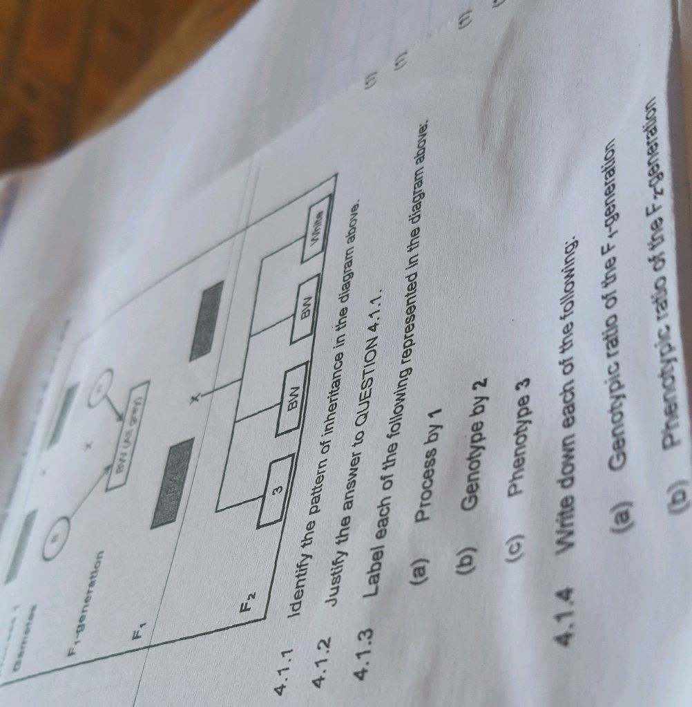 4.1.1 Identify the pattern of inheritance in | StudyX