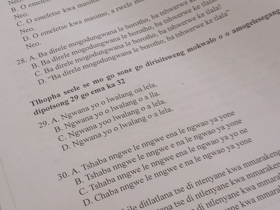 28. A. Ba direle mogodungwana le borotho, ba | StudyX