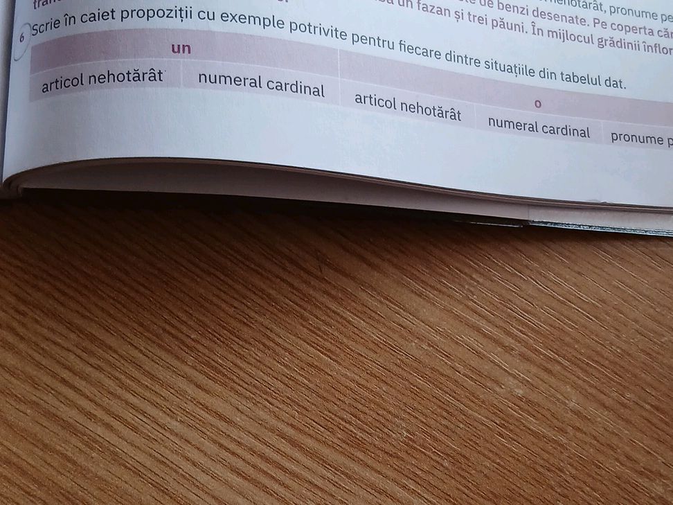 Scrie în caiet propoziții cu exemple | StudyX