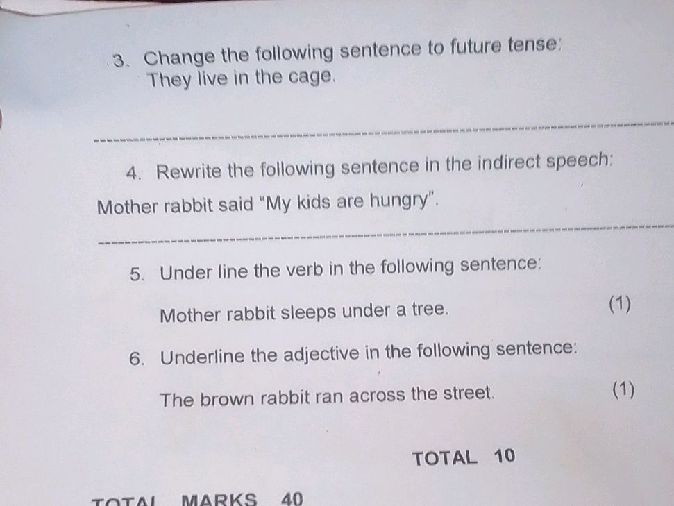3. Change the following sentence to future | StudyX