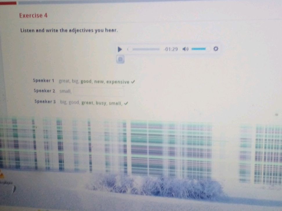 Exercise 4 Listen and write the adjectives | StudyX