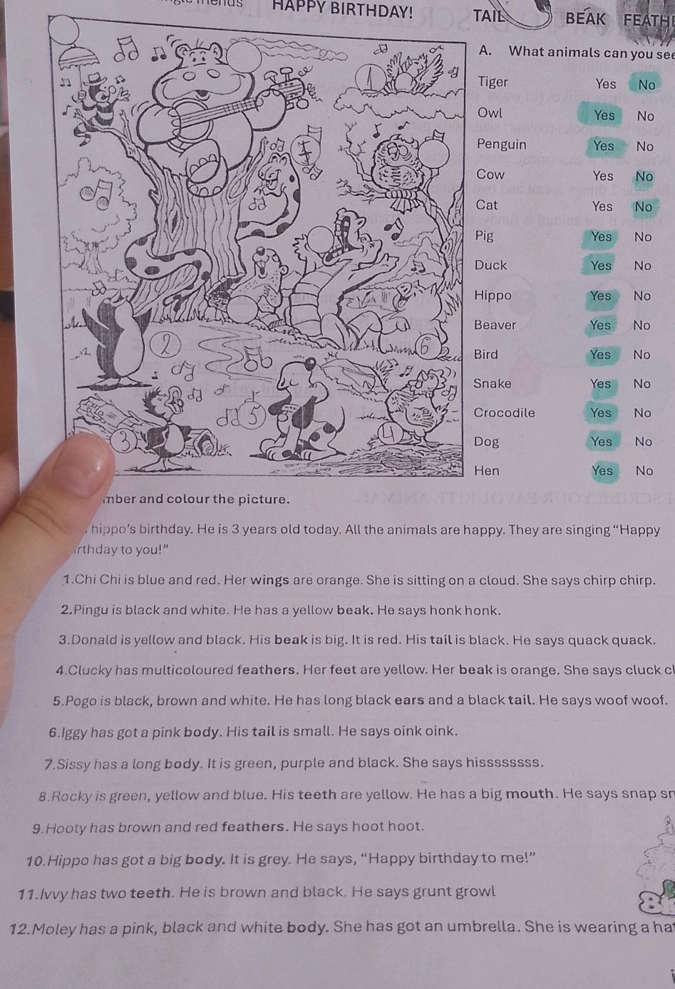 A. What animals can you see | Animal | | StudyX