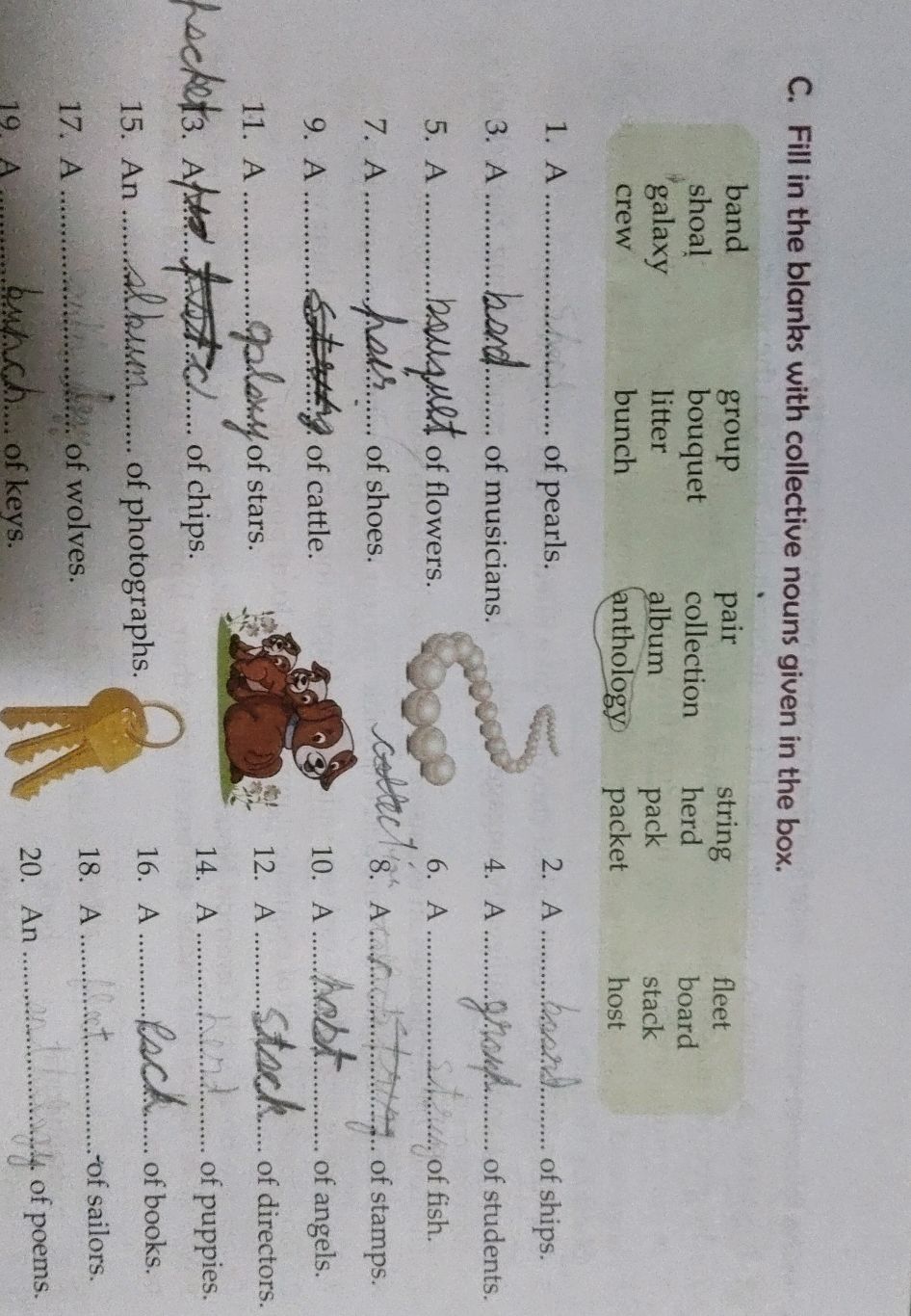 C. Fill in the blanks with collective nouns | StudyX