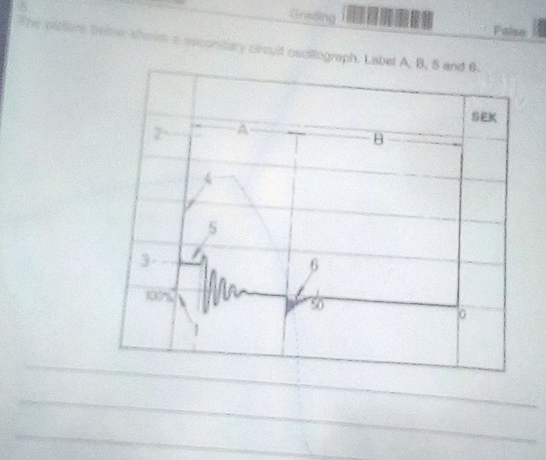 The picture below shows a secondary circuit | StudyX