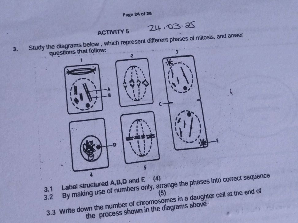 3. Study the diagrams below, which represent | StudyX