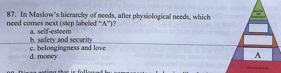 87. In Maslow's hierarchy of needs, after | StudyX