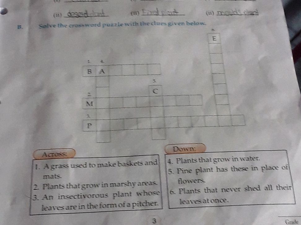 Solve the crossword puzzle with the clues | StudyX