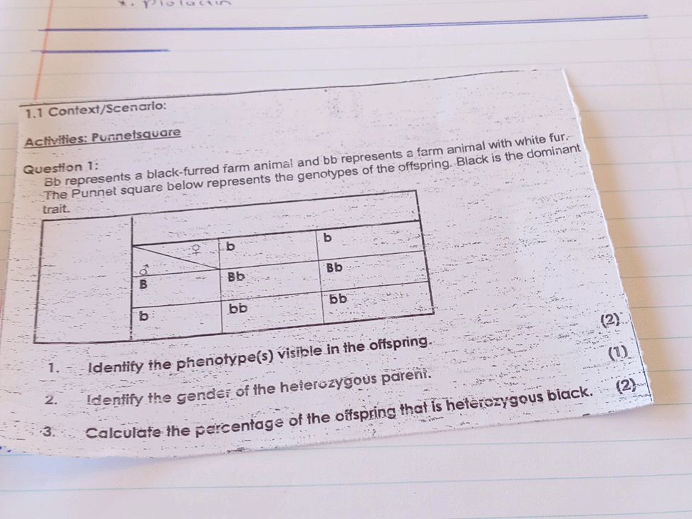 1. Identify the phenotype(s) visible in the | StudyX