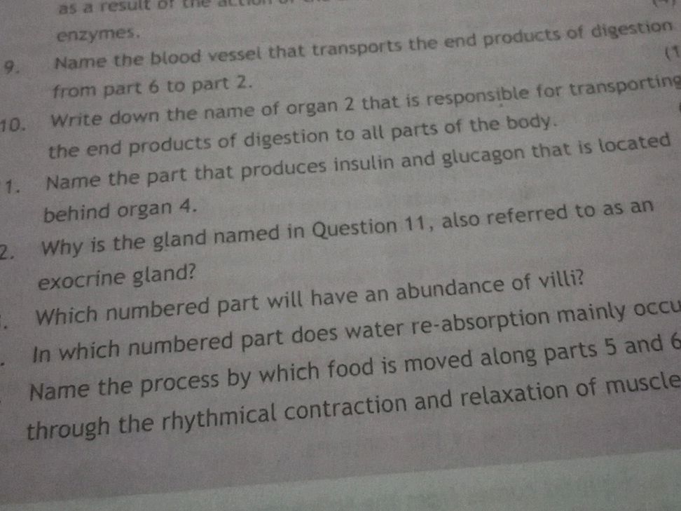 9. Name the blood vessel that transports the | StudyX