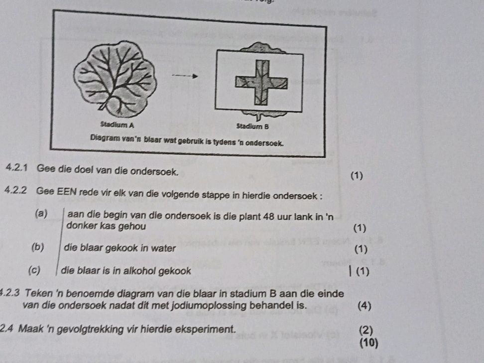 4.2.1 Gee die doel van die ondersoek. 4.2.2 | StudyX