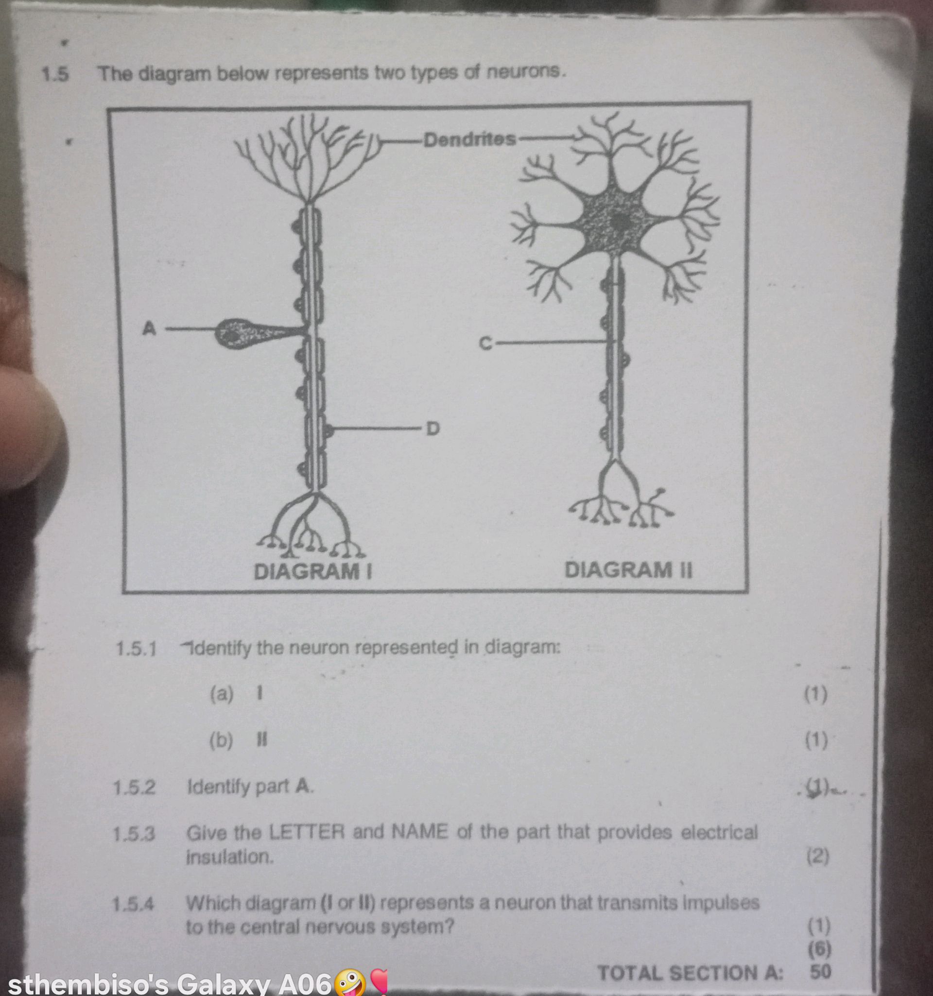 1. 5 The diagram below represents two types | StudyX