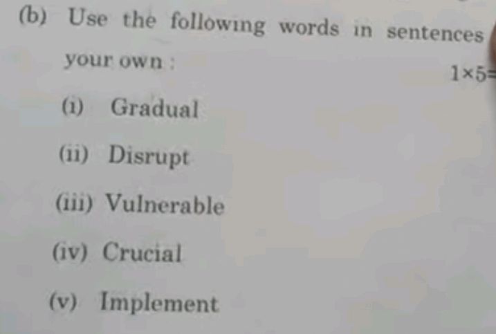 (b) Use the following words in sentences | StudyX