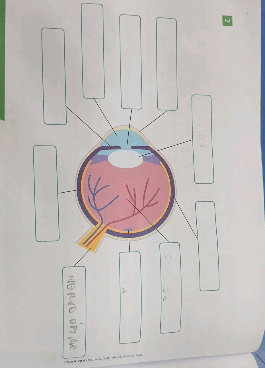 The image shows a diagram of the eye with | StudyX