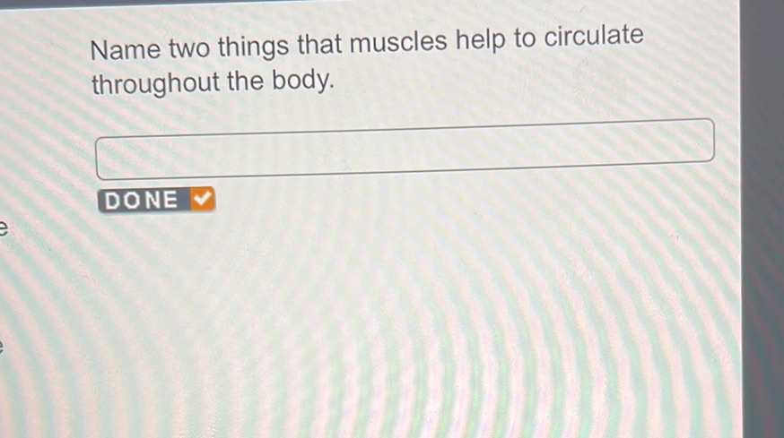 Name two things that muscles help to | StudyX