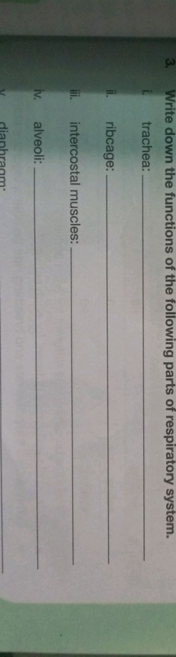 3. Write down the functions of the following | StudyX