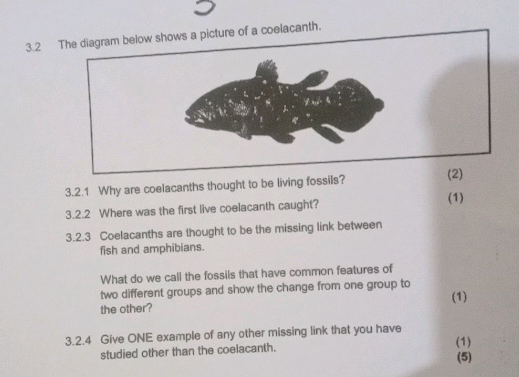 3.2 The diagram below shows a picture of a | StudyX