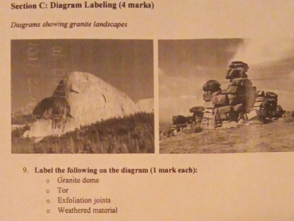 9. Label the following on the diagram (1 | StudyX