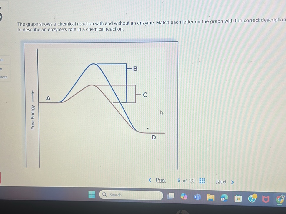 The graph shows a chemical reaction with and