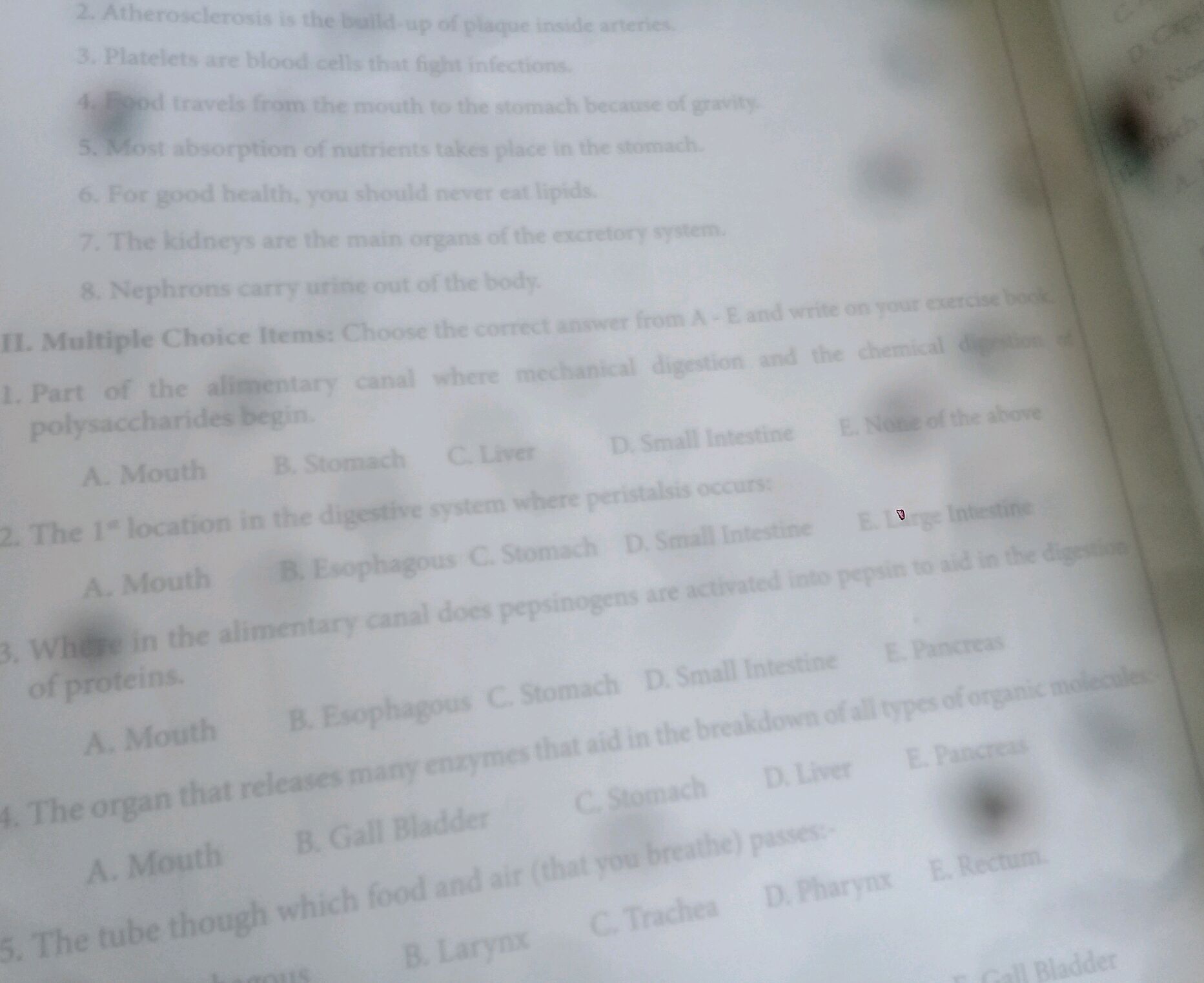 II. Multiple Choice Items: Choose the | StudyX