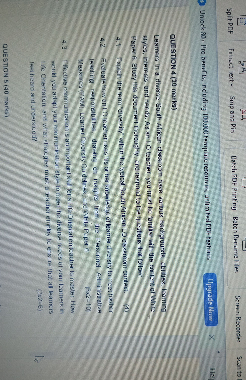 QUESTION 4 (20 marks) Learners in a diverse