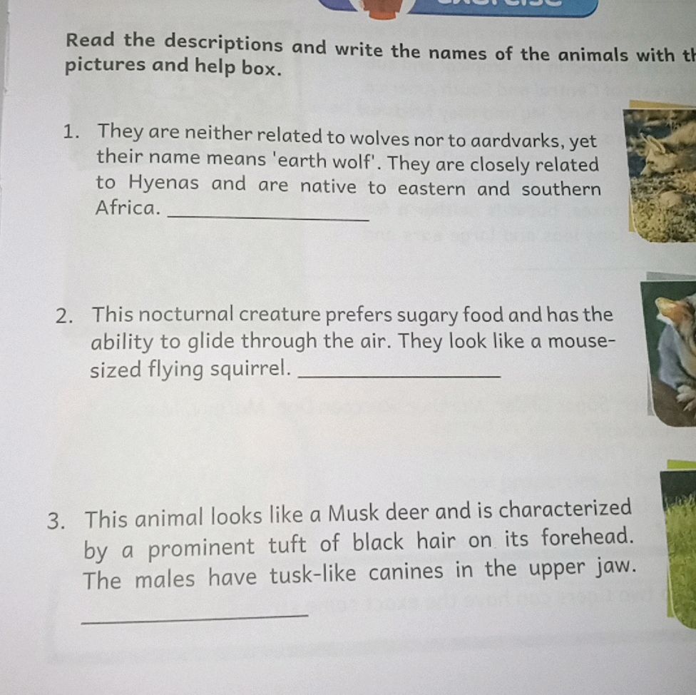 Read the descriptions and write the names of | StudyX