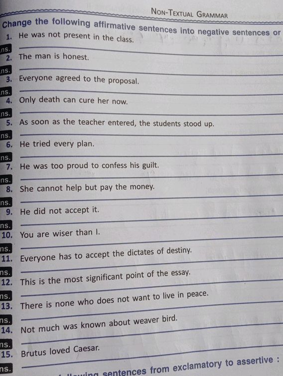 Change the following affirmative sentences | StudyX