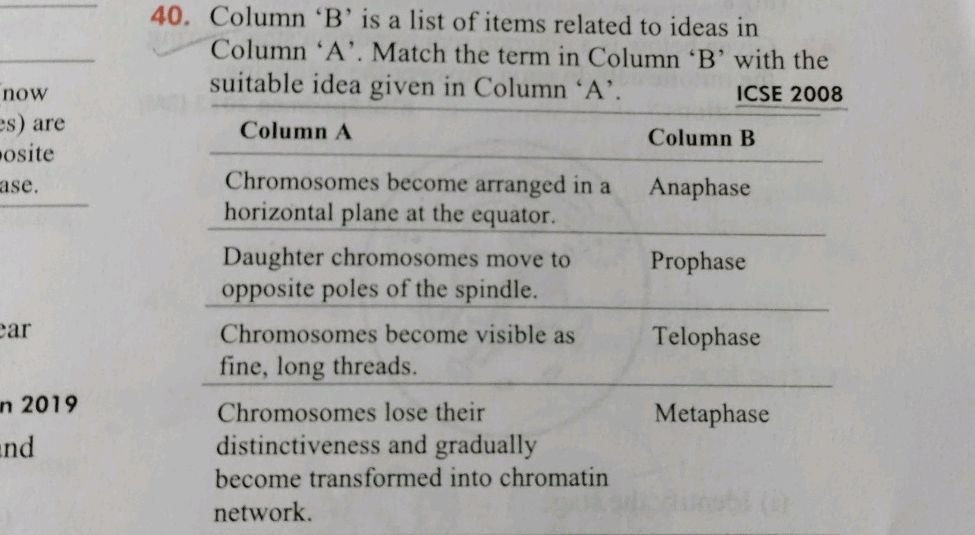 40. Column 'B' is a list of items related to | StudyX