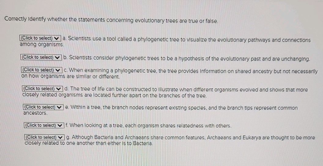 Correctly Identify whether the statements | StudyX