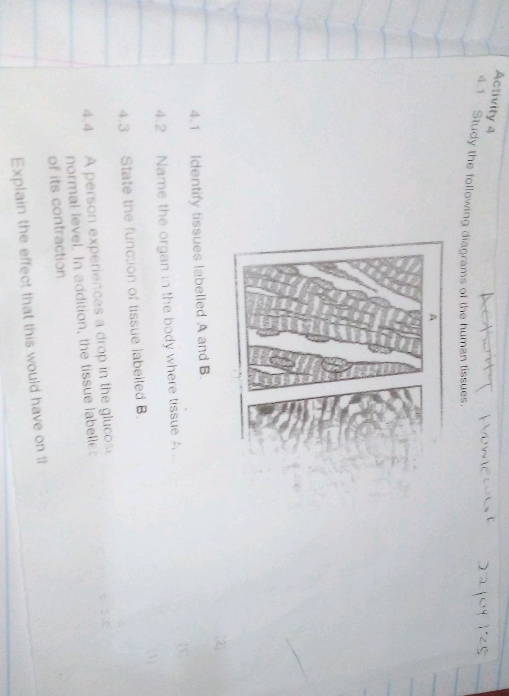 Activity 4 Study the following diagrams of | StudyX