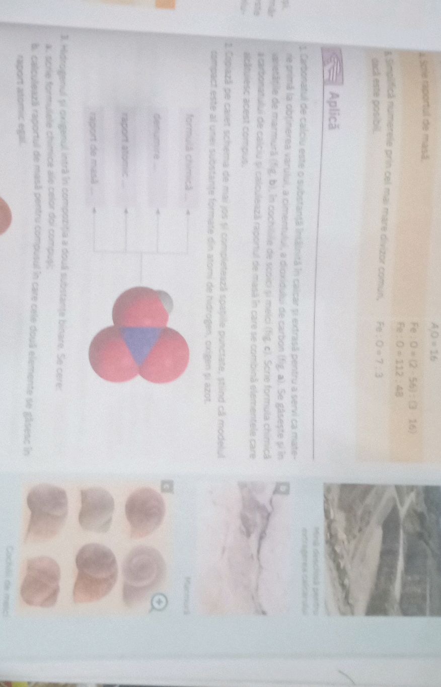 Scrie raportul de masă. Simplifică numerele | StudyX