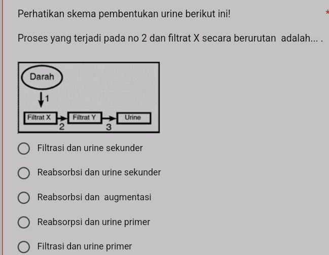Perhatikan skema pembentukan urine berikut | StudyX