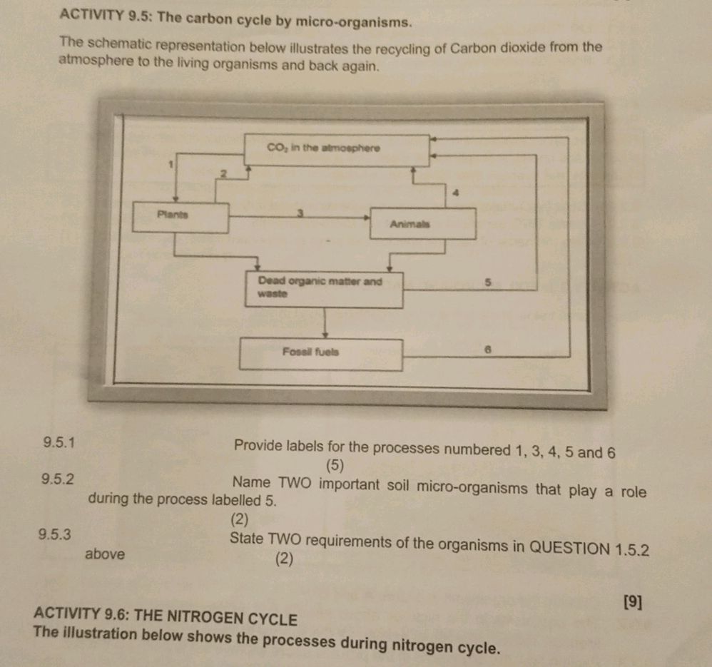 9.5.1 Provide labels for the processes | StudyX