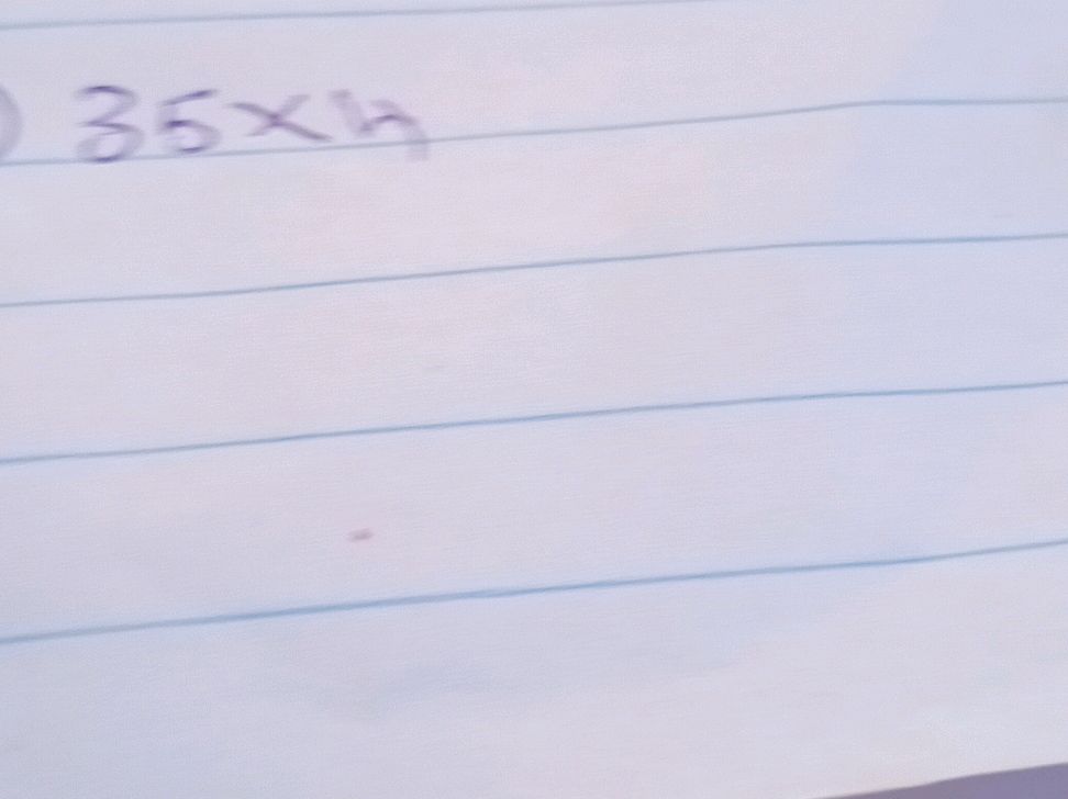 Multiplication problem: 35 x 14 | StudyX