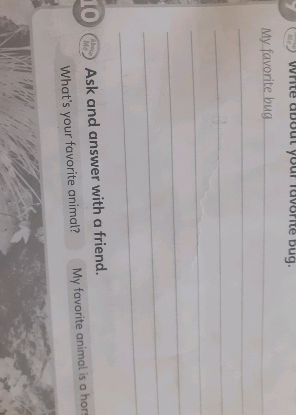 What's your favorite animal? My favorite | StudyX