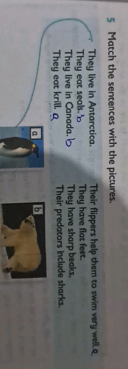 5 Match the sentences with the pictures. | StudyX