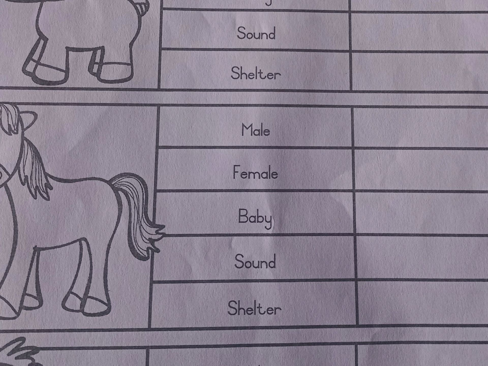 The image contains a table with the | StudyX