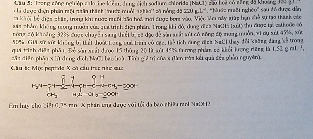 Câu 5: Trong công nghiệp chlorine-kiềm, dung | StudyX