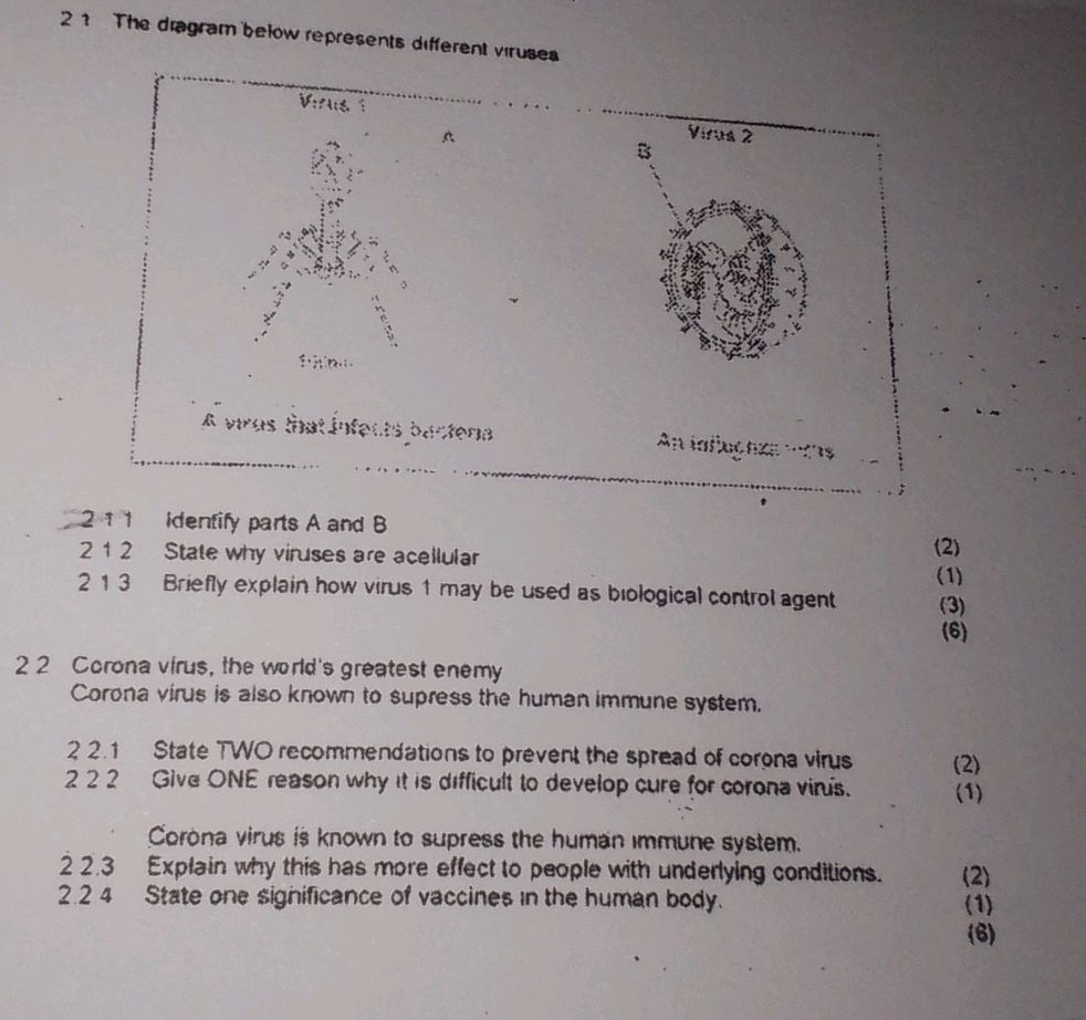 21 The diagram below represents different | StudyX