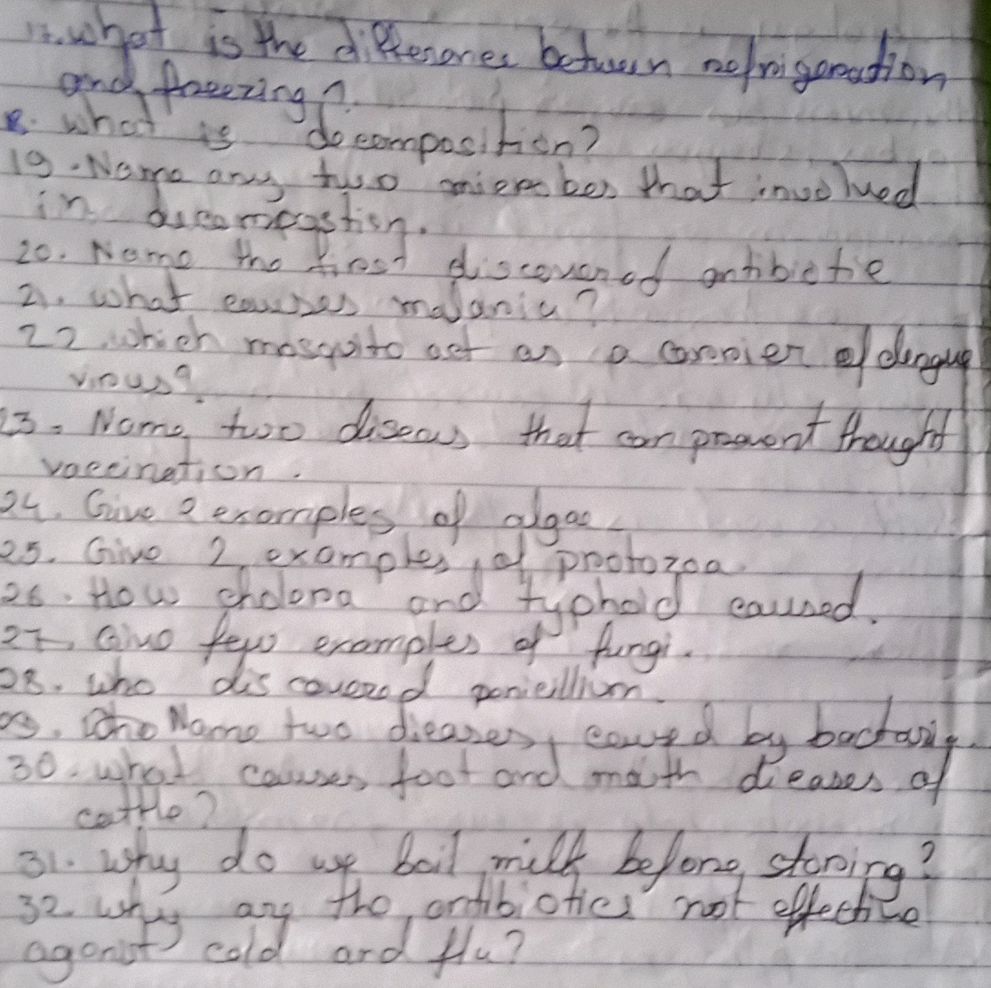 17. What is the differences between | StudyX